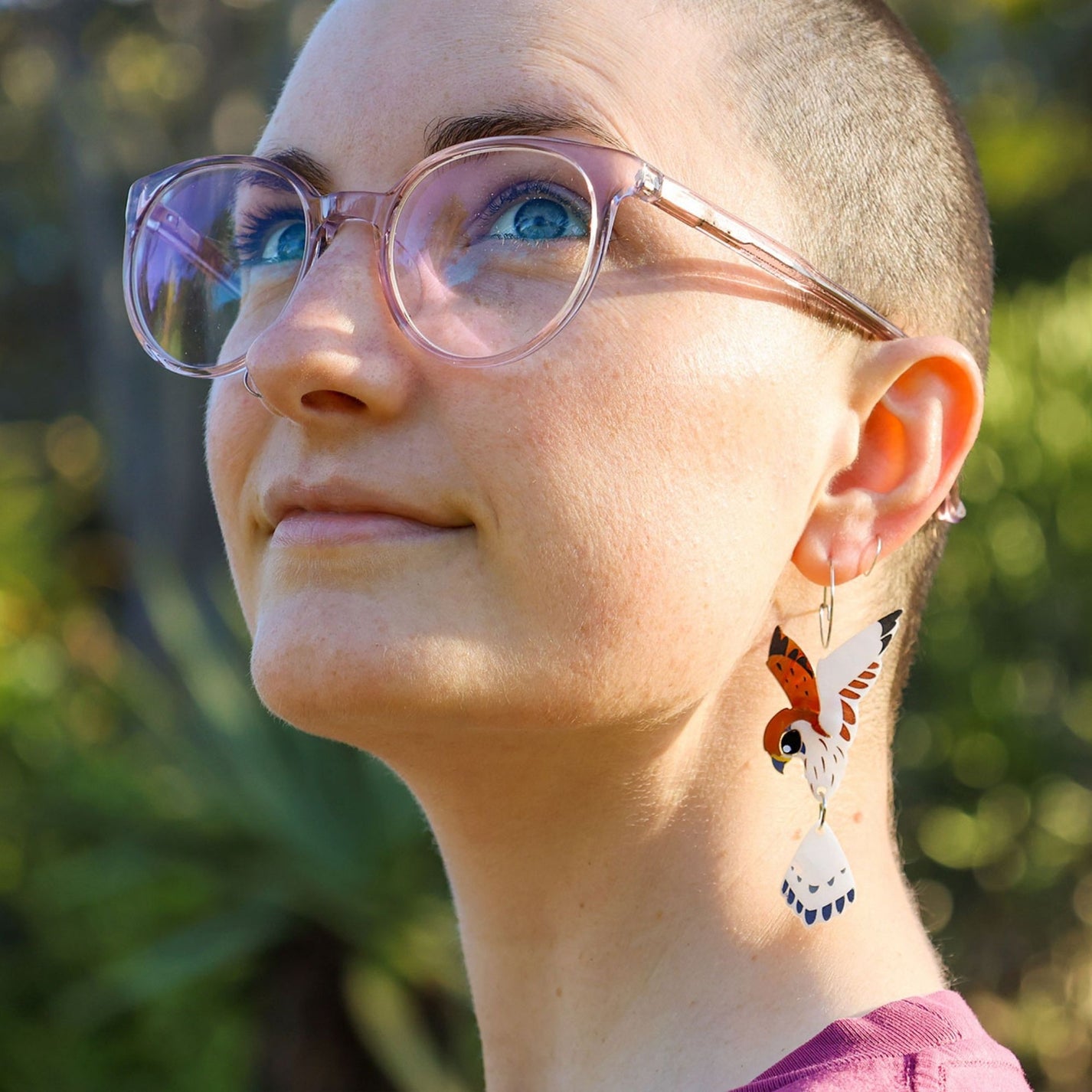BINKABU | Acrylic Nankeen Kestrel Earrings | Birds of Prey – BINKABU ...