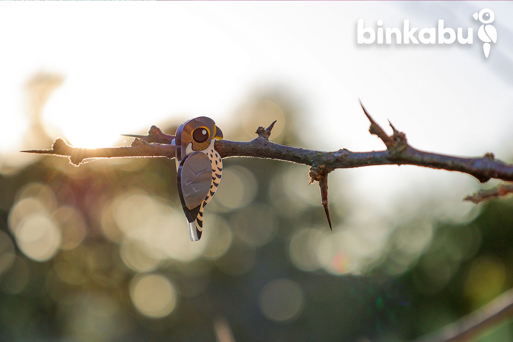 BINKABU | Acrylic Peregrine Falcon Earrings | Birds of Prey